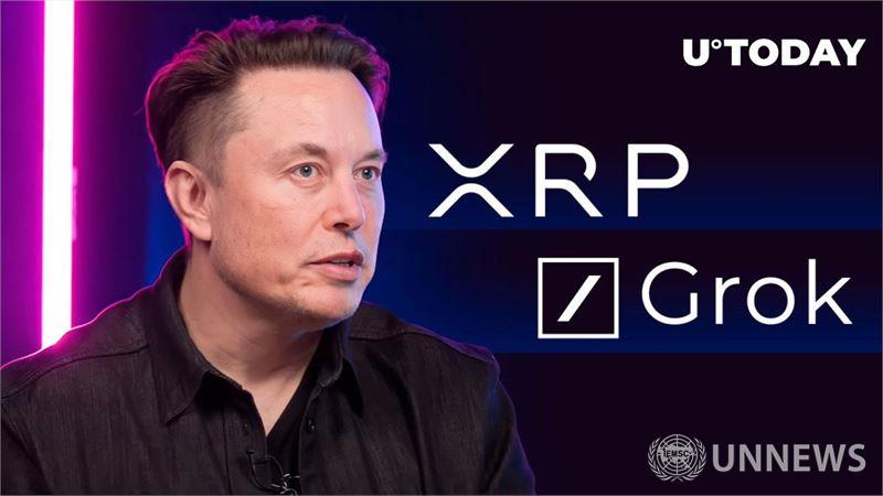 XRP는 스테이블 코인이 될 수 있다고 Elon Musk의 AI Grok은 말합니다. | UNnews 유엔뉴스 유엔신문
