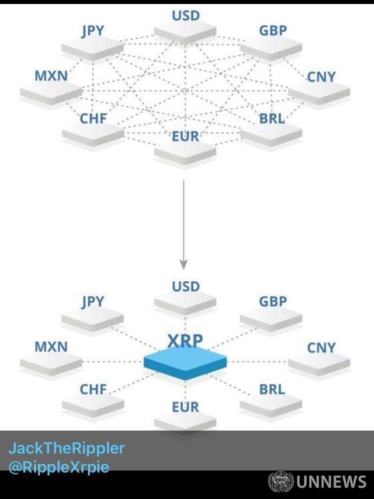 업계의 T+1 진행 상황에 대한 DTCC의 의견. | UNnews 유엔뉴스 유엔신문