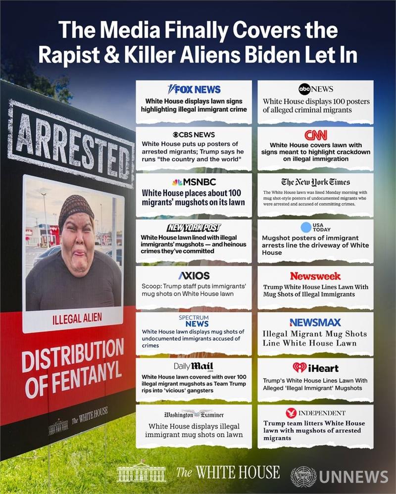 🤭100일째인데, 아무것도 변하지 않았나요? 모두 행운을 빌어요! | UNnews 유엔뉴스 유엔신문