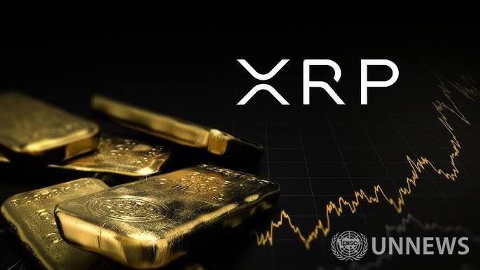 일본은 XRP 카드를 사용하여 모든 것이 바뀝니다. | UNnews 유엔뉴스 유엔신문