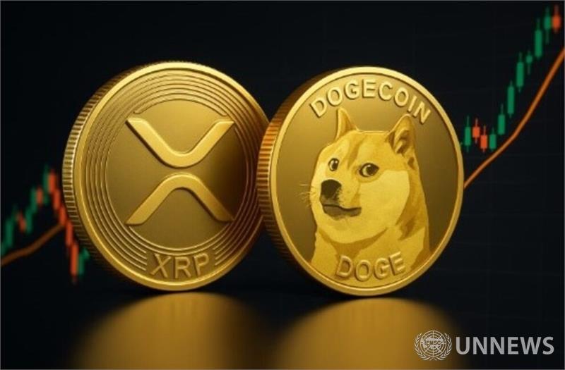 XRP, DOGE를 사용하여 DOT 채굴자와 함께 하루에 $3,200를 버는 방법. | UNnews 유엔뉴스 유엔신문