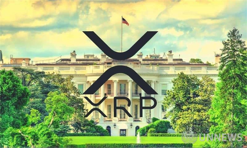 XRP는 단순한 개념이 아니라 글로벌 금융의 청사진입니다. | UNnews 유엔뉴스 유엔신문